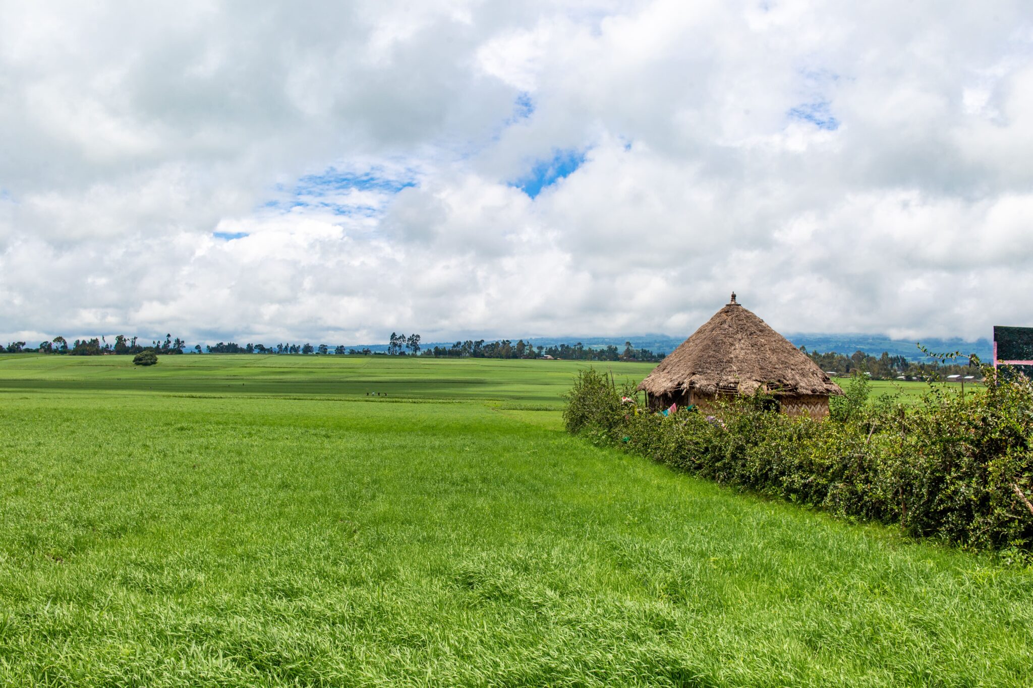 Lersha – Make Agriculture Easy For Everyone